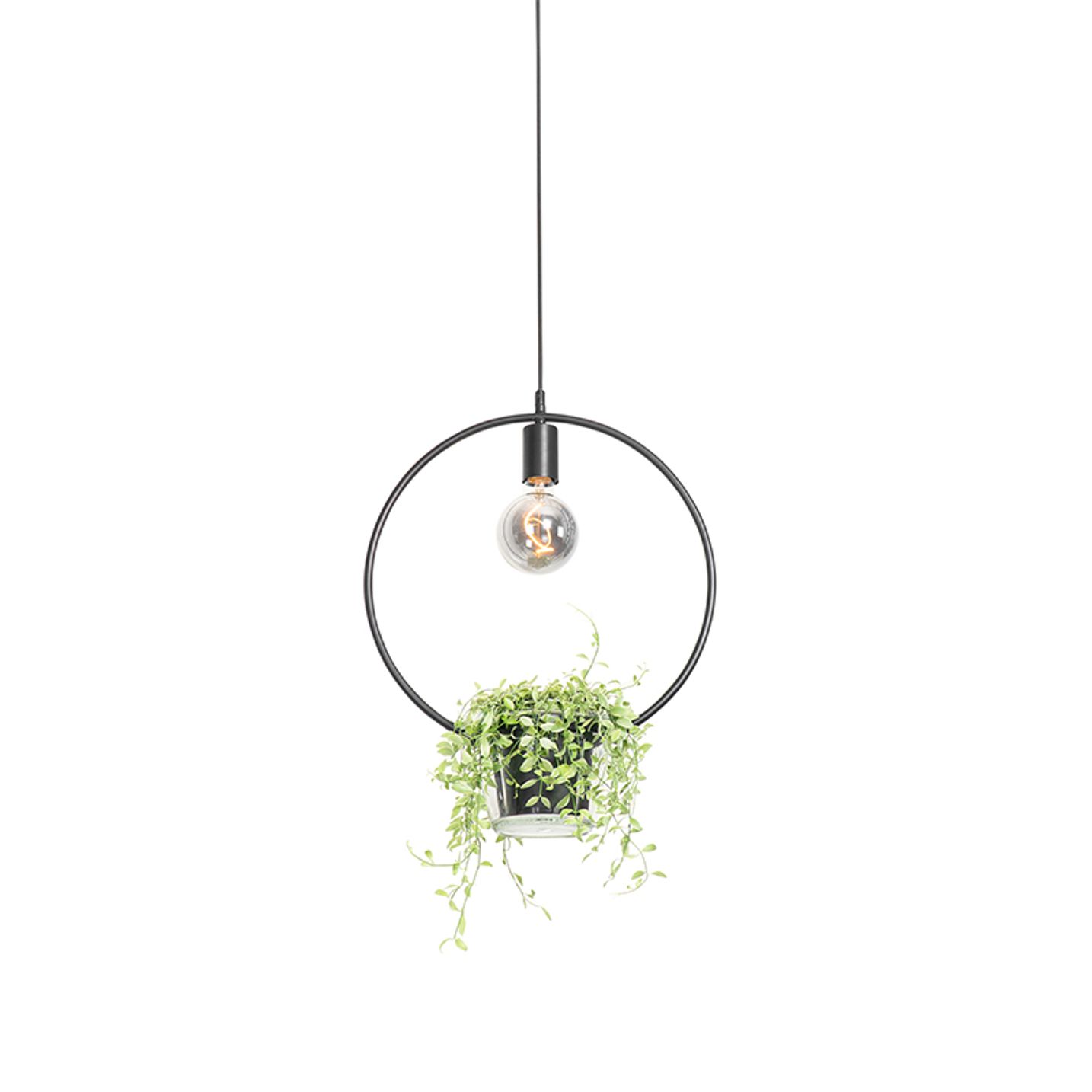 Modern pendellampa svart med glas rund - Roslini | Lamporochljus