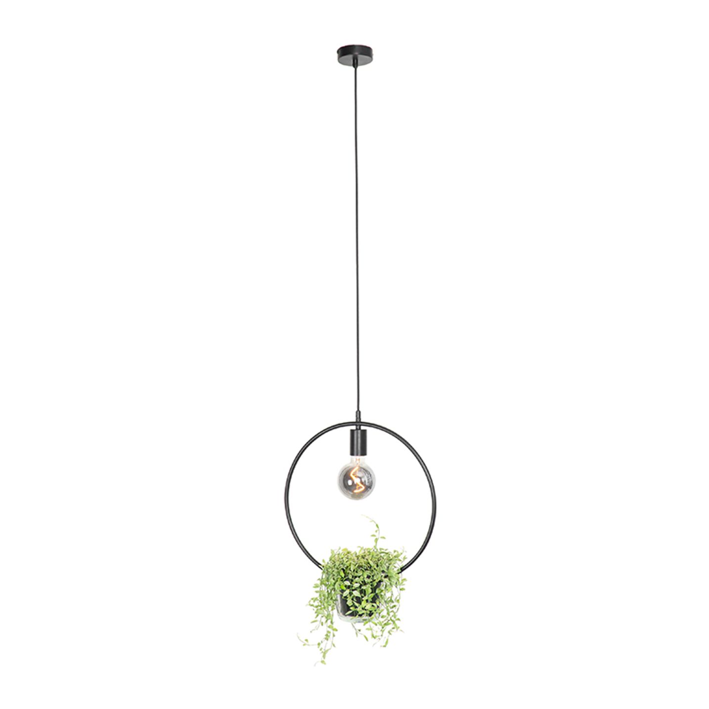 Modern pendellampa svart med glas rund - Roslini | Lamporochljus